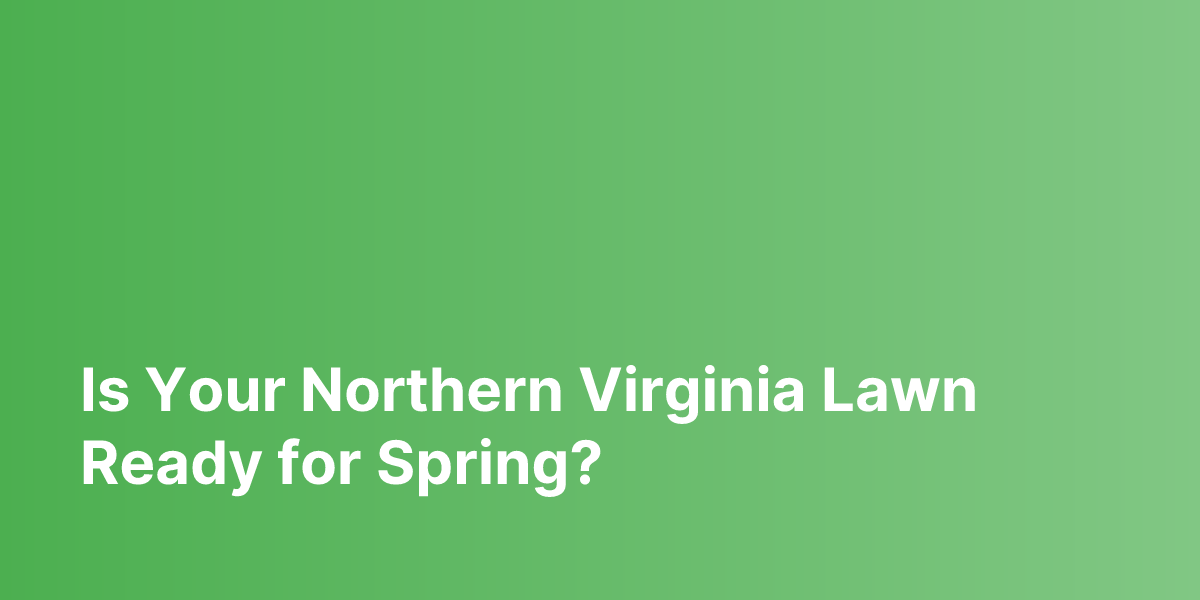 Is Your Northern Virginia Lawn Ready for Spring? | Affordable Lawn ...