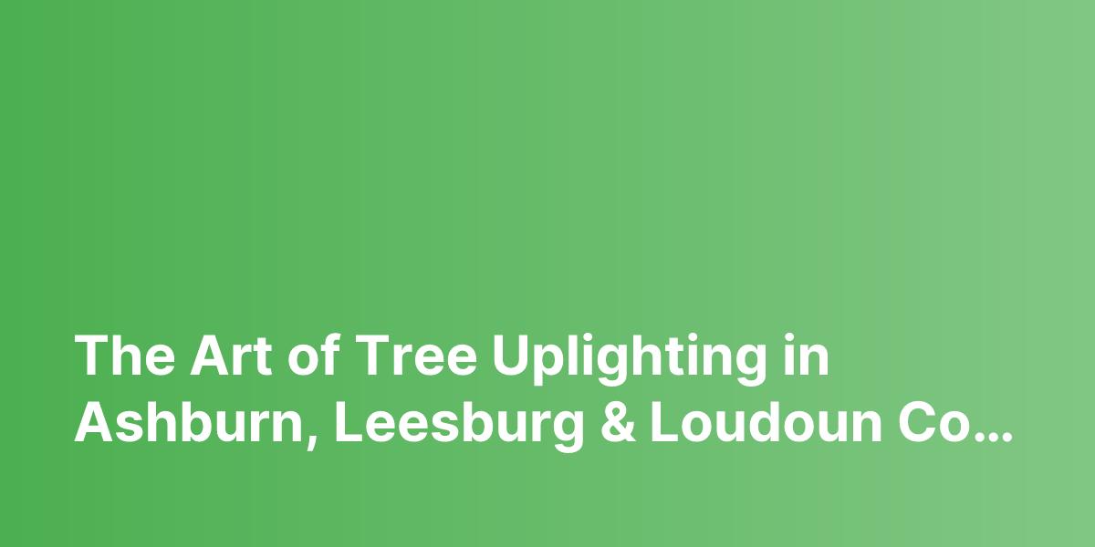 The Art of Tree Uplighting in Ashburn, Leesburg & Loudoun County ...