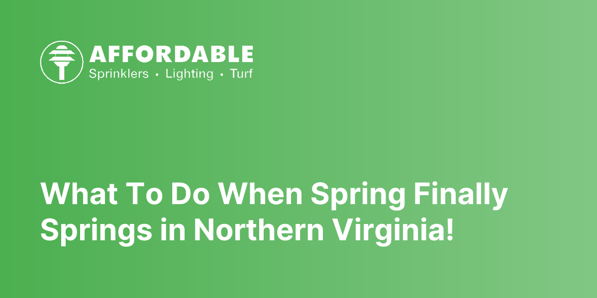 What To Do When Spring Finally Springs in Northern Virginia ...